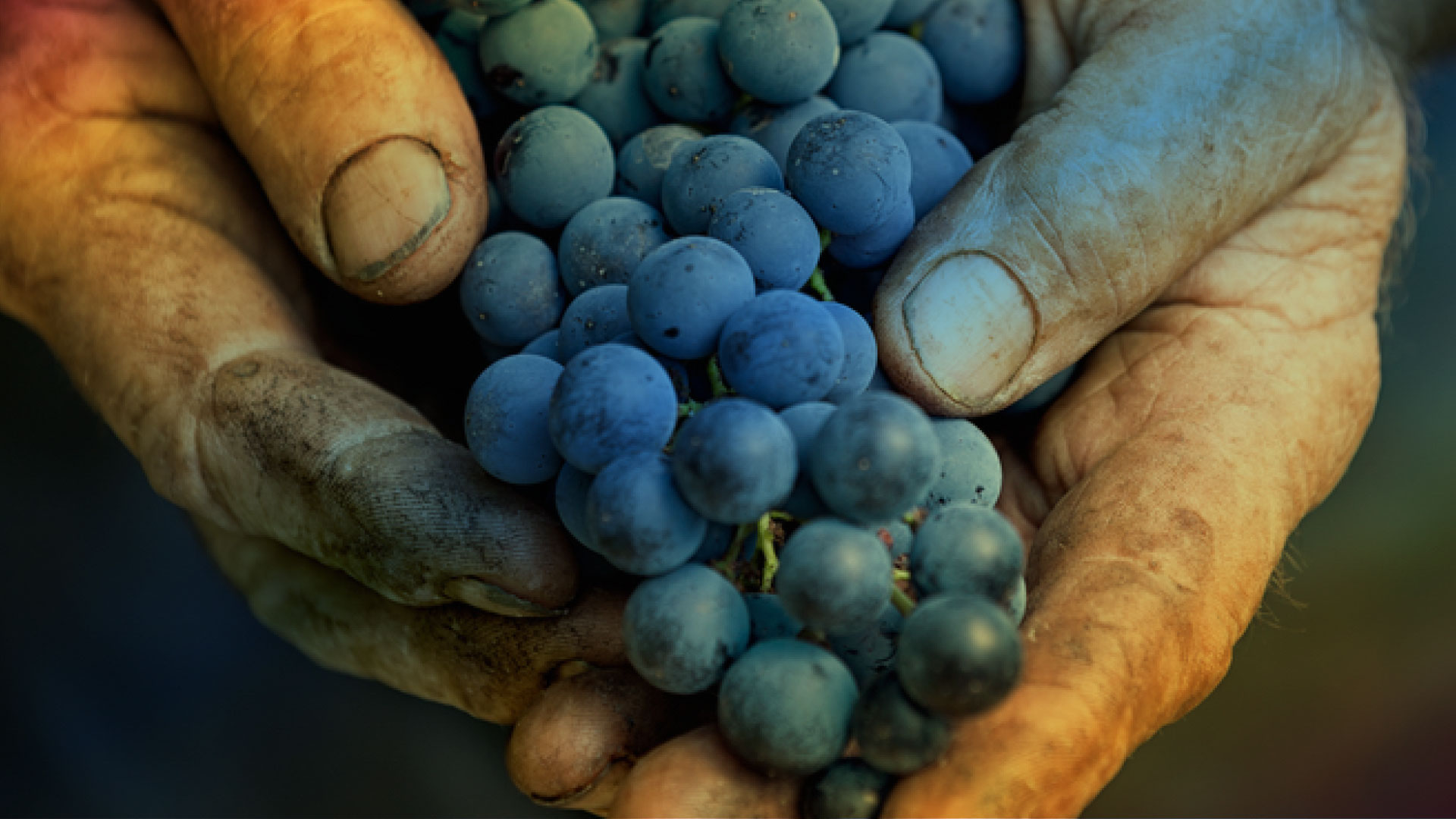 Fat Barrel - Wine Company | It's All About "The Good Stuff"